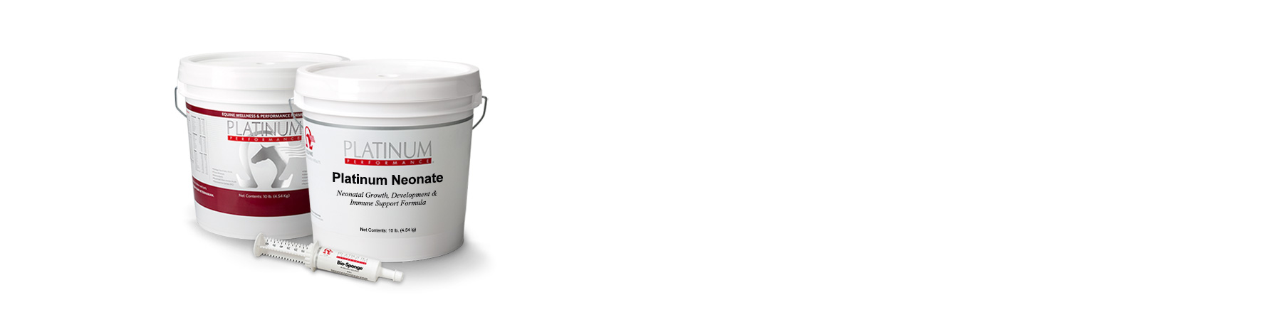 Foal Supplements | Foal Care Support