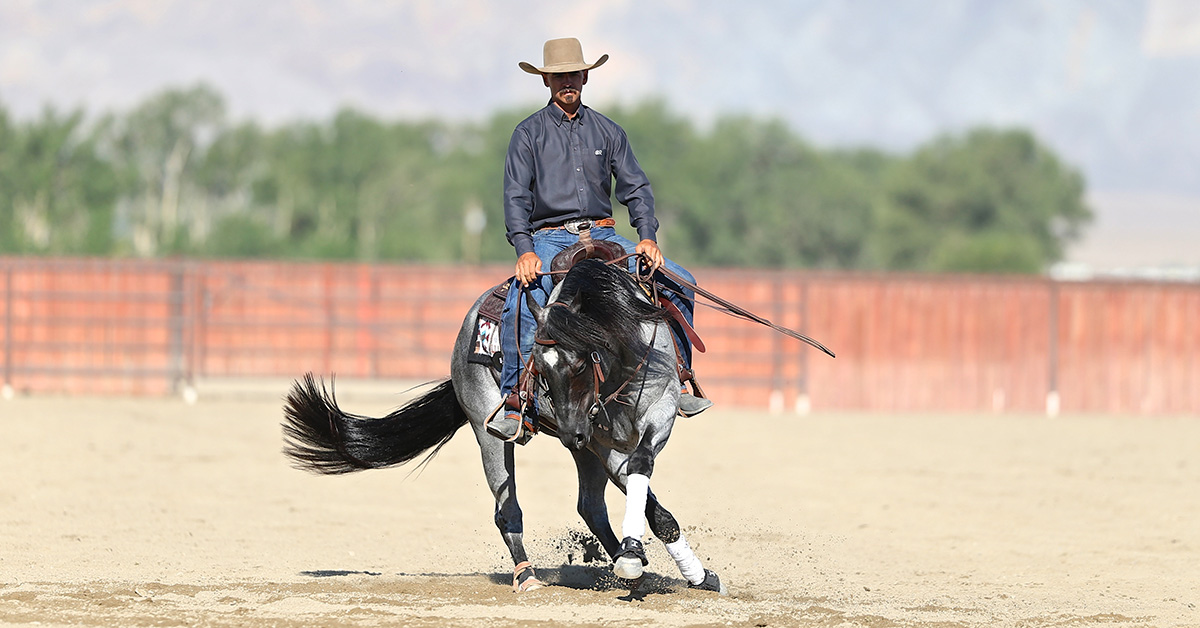 Nick Dowers' Formulas for Success