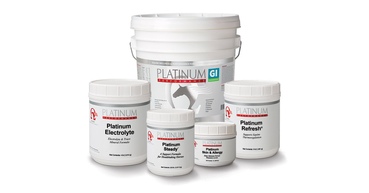 Equine Summer Nutritional Supplements