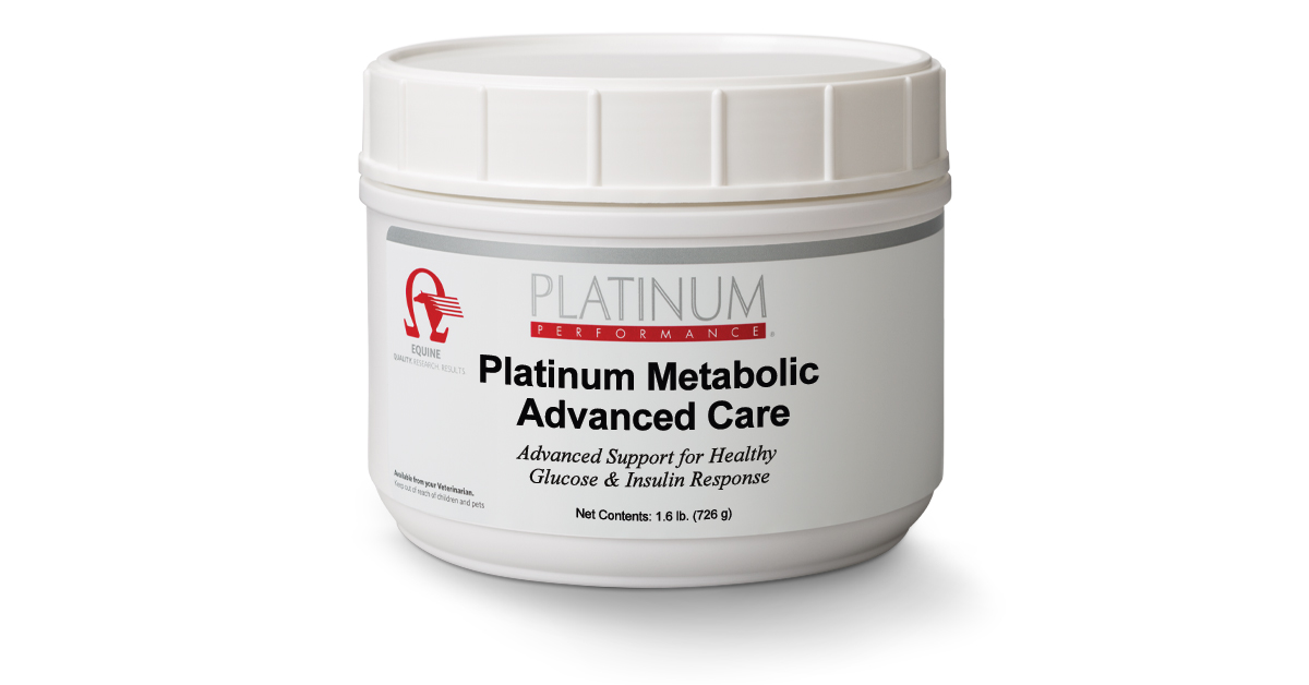 Equine Metabolic Supplements | Platinum Metabolic Advanced Care