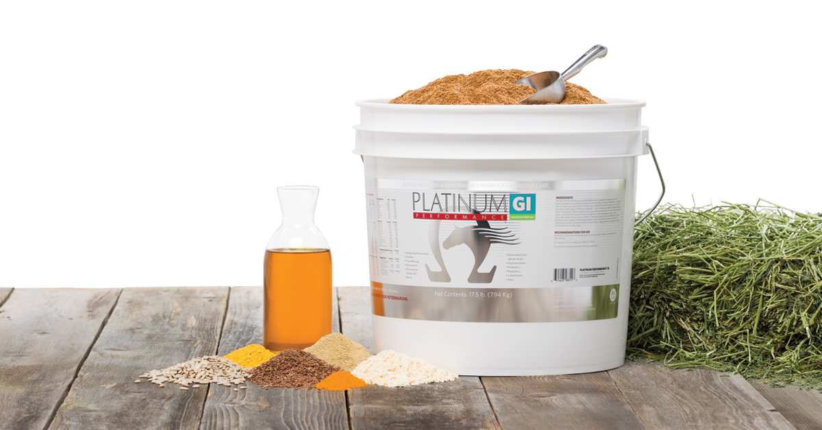 Equine Gut Health |Horse Probiotics | Platinum Performance GI